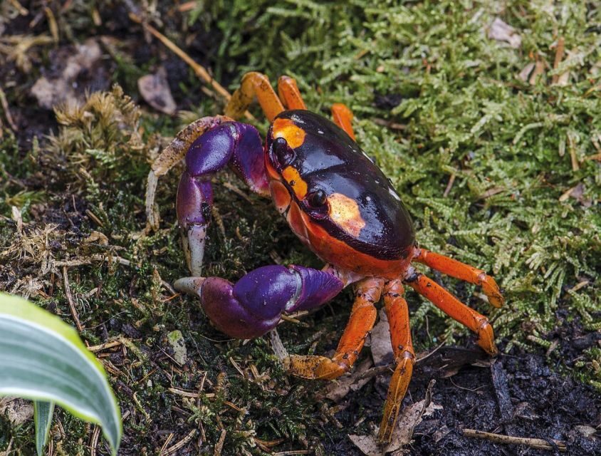 Livorno: Aquarium Entrance Ticket - Frequently Asked Questions