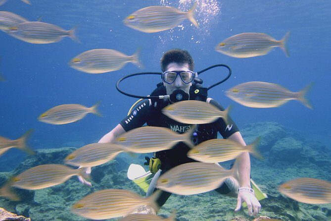 Local Guided Dives (for certified/licensed divers) - Final Thoughts