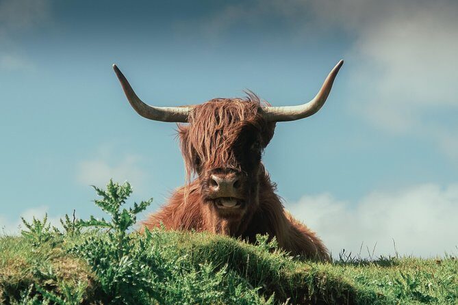 Loch Ness, Glen Coe & The Highlands Day Tour from Edinburgh - The Sum Up: Is This Tour Right for You?