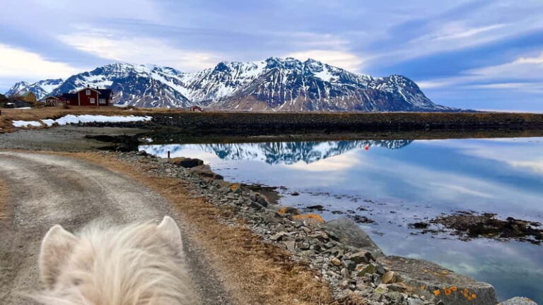 Lofoten: Guided Horse Riding Tour Over Hov and Hovsund - The Practical Details: What You Need to Know