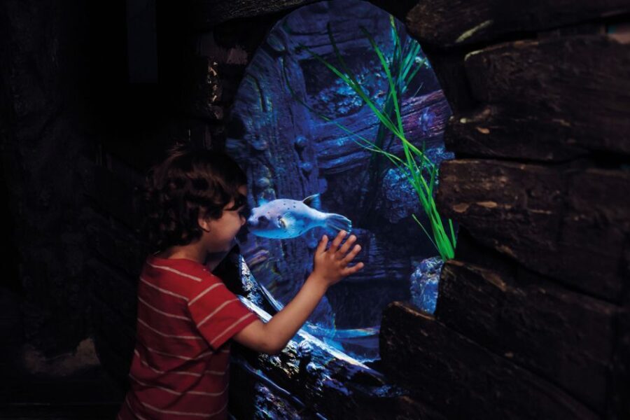 London: Madame Tussauds, London Eye & SEA LIFE Combo Ticket - Practical Details & Tips