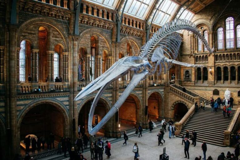 London: Natural History Museum Express Tour & Audio App - Who Will Love This Tour?
