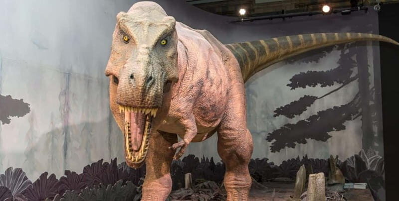 London: Natural History Museum Guided Tour w/ Priority Entry - FAQs