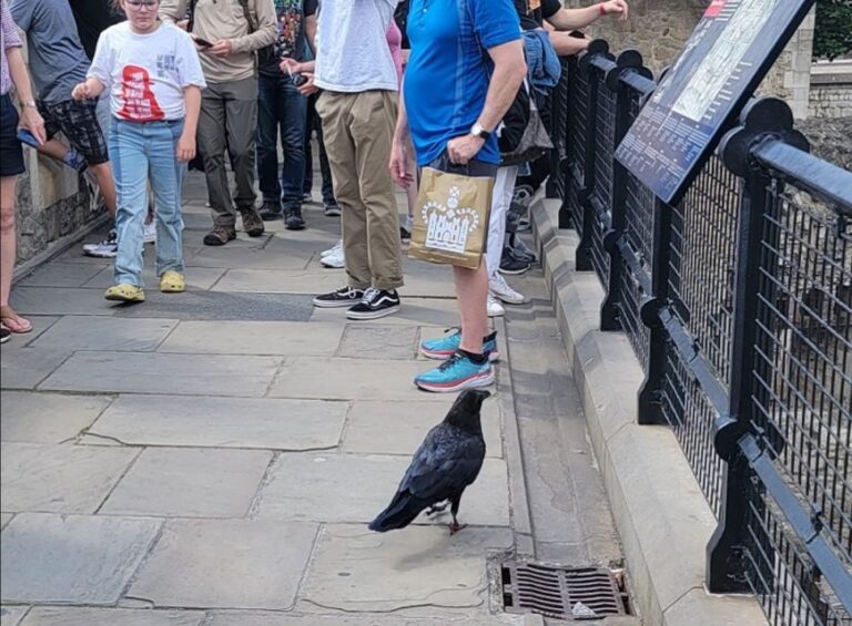 London: Tower of London Guided Tour with Boat Ride - Final Thoughts