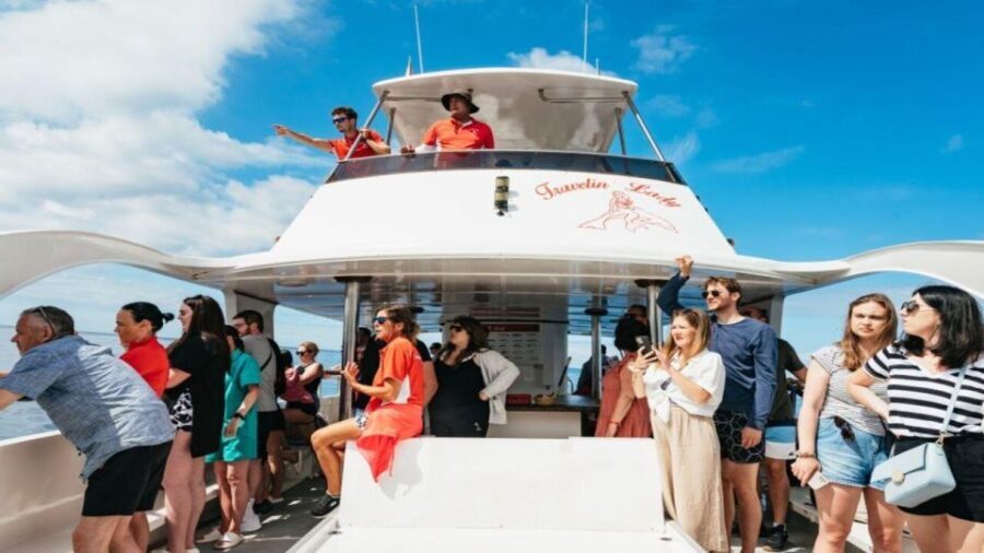 Los Cristianos: Eco Yacht Whale Watching Tour at Sunset - Why This Tour Is Valuable