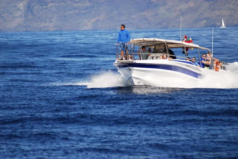 Los Gigantes: Whale or Dolphin Watching Tour and Swim in Masca - What’s Included and What to Bring