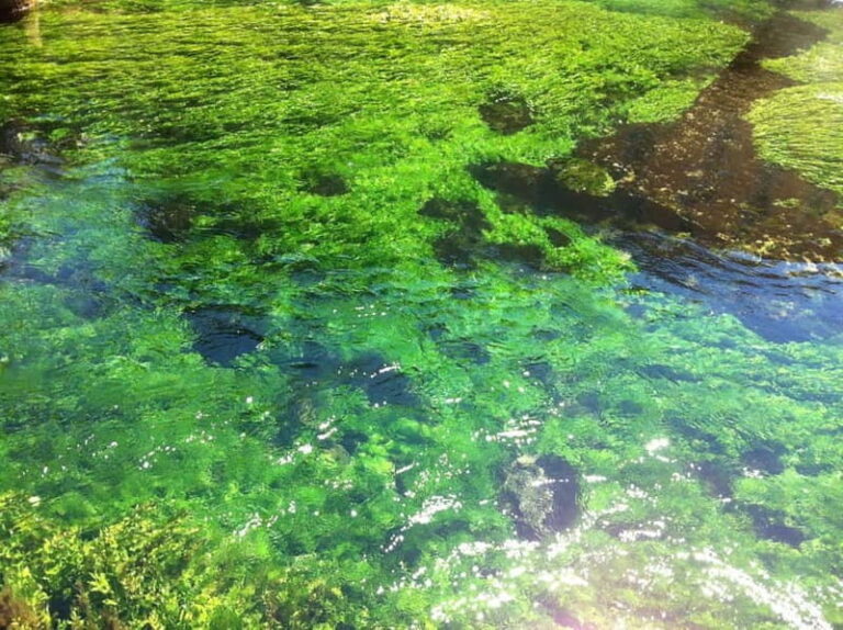 Luberon villages Full-day tour from Aix-en-Provence - The Itinerary Deep Dive