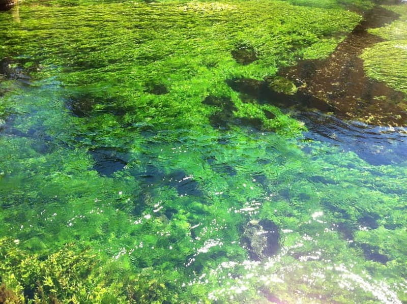 Luberon villages Full-day tour from Aix-en-Provence - The Itinerary Deep Dive