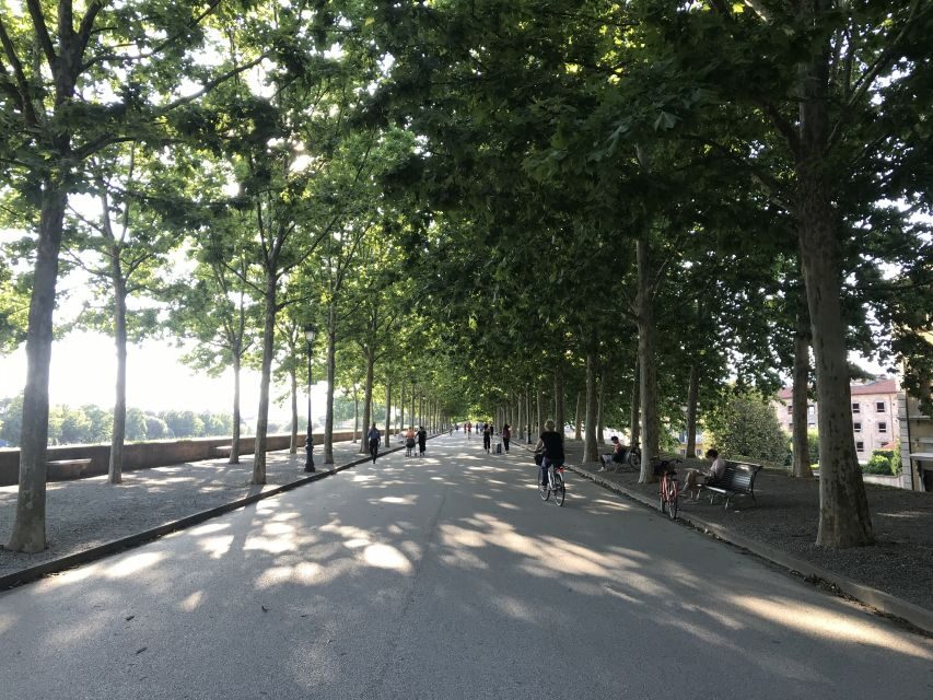 Lucca: City Bike One-Day Rental - What Reviewers Say