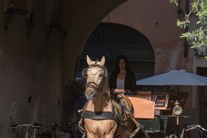 Lucca Classic  Carriage Tour in the Old Town - Who Would Love This Tour?