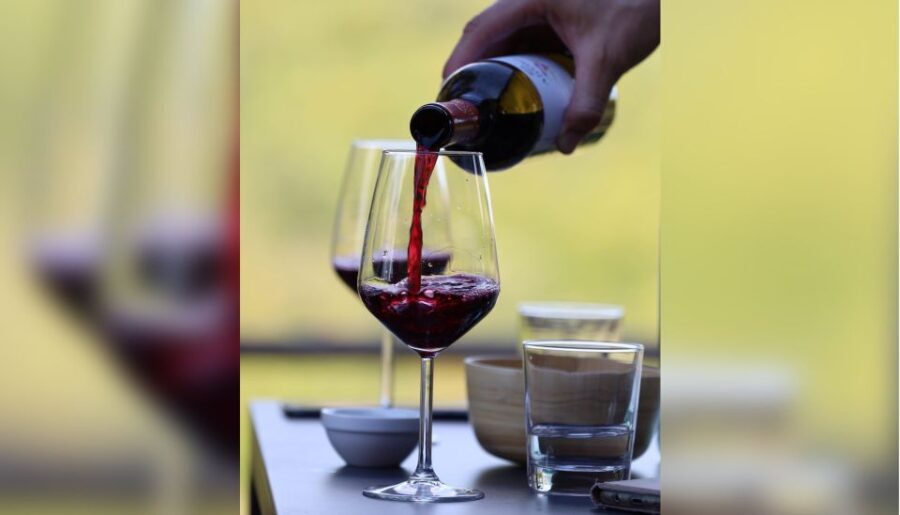 Lucca: Guided Winery Tour with Wine Tasting - Practical Details to Consider