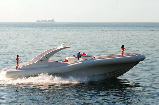 Luxury Opera 60 Whale & Dolphin Watching Experience - The Vessel and Onboard Comfort