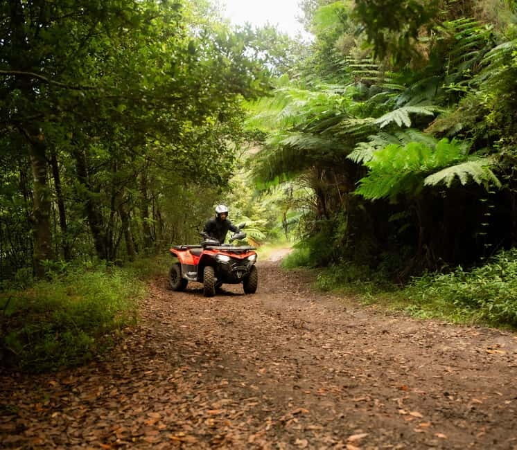 Madeira: Aventura Off-Road de ATV ou Quad - Adrenalina - In Summary: Why Choose This Madeira Off-Road ATV Tour?
