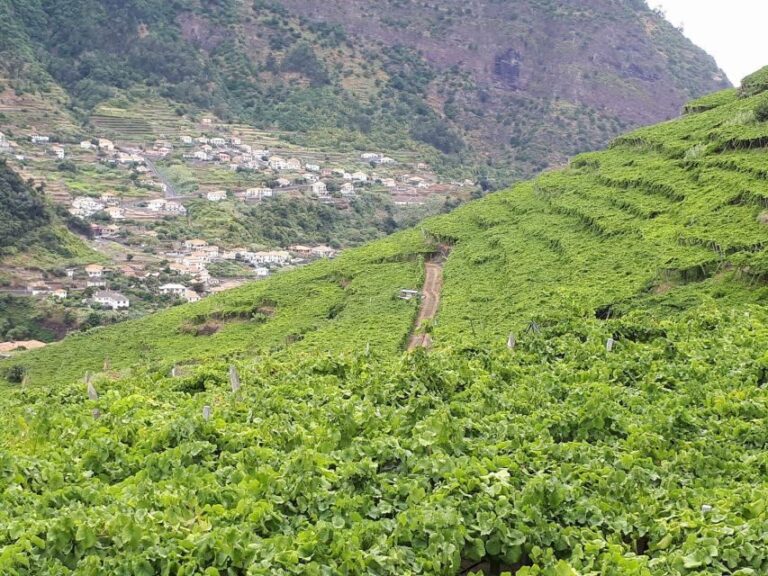 Madeira: Cabo Girão, Wine Tasting, & Serra d'Água Jeep Tour - Highlights in Detail