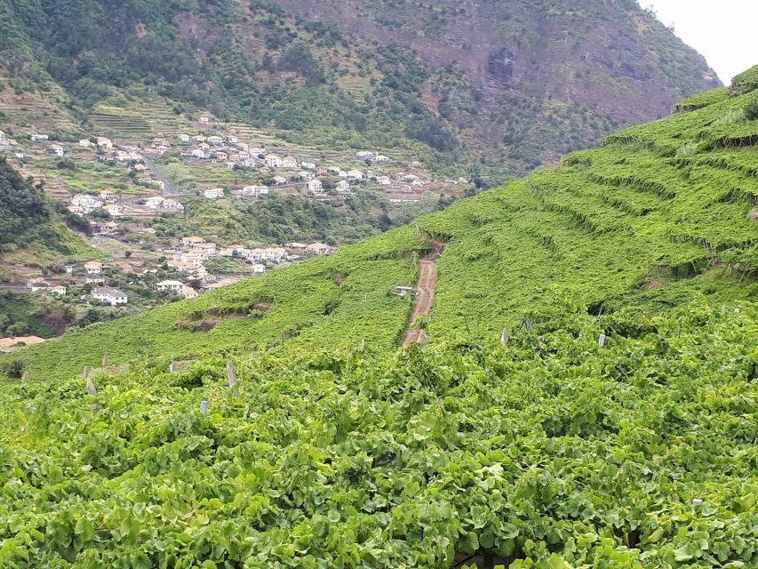 Madeira: Cabo Girão, Wine Tasting, & Serra d'Água Jeep Tour - Highlights in Detail