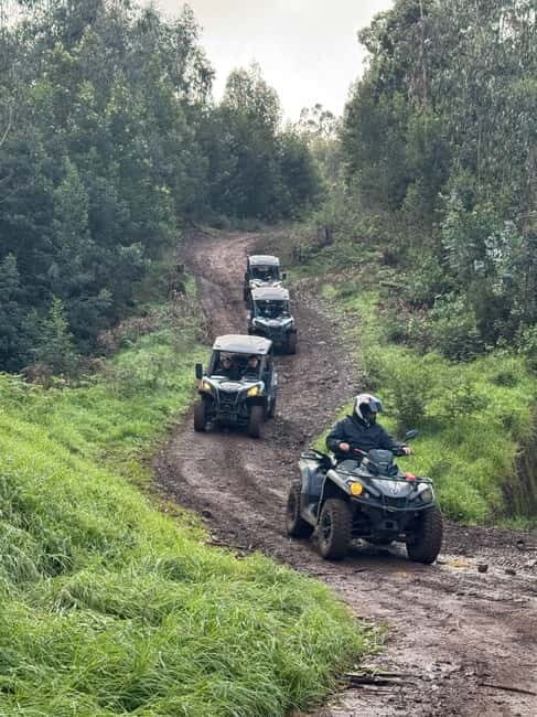 Madeira: Half-Day Off-Road Buggy Tour - The Route and Stops: What Youll Experience