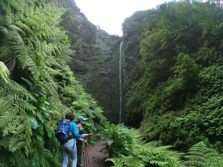 Madeira Island: Caldeirão Verde Levada Walk - Final Thoughts: Is It Worth It?
