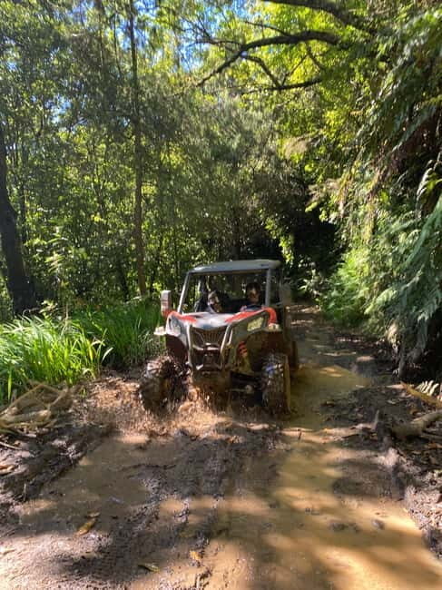 Madeira: Off-Road Buggy Driving Experience - What to Expect During the Ride