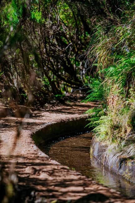 Madeira: PR 18 - Levada do Rei Hike Transfer with Host - The Sum Up