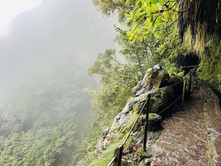 Madeira: PR 9 - Levada do Caldeirão Verde Hike Transfer - Who Is This Tour Perfect For?