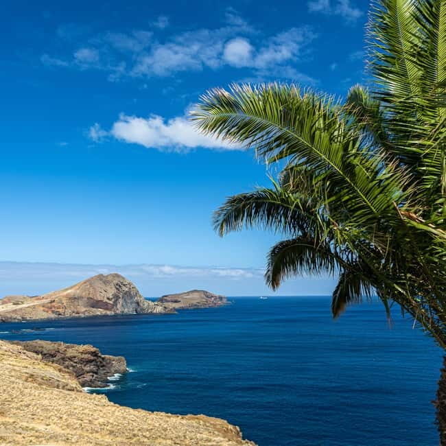 Madeira: PR8 -Ponta de São Lourenço Natural Reserve Transfer - Who Would Love This Tour?