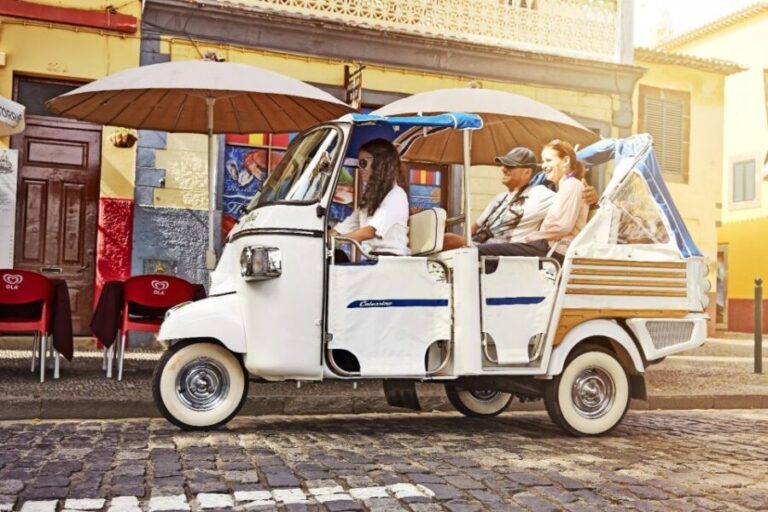 Madeira: Private Funchal City Tour in a Tukxi - What to Expect from the Itinerary