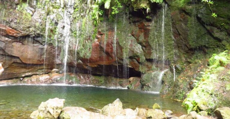 Madeira: Rabaçal, Risco and 25 Fontes Guided Hiking Tour - Real Experiences from Travelers