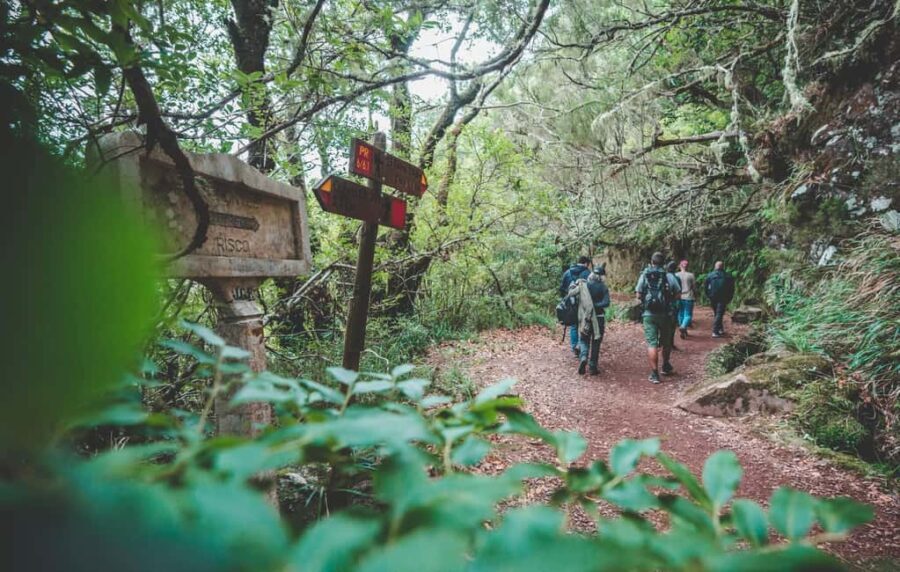 Madeira: Rabaçal Valley and the 25 Fountains Hike - What You Can Expect from the Experience
