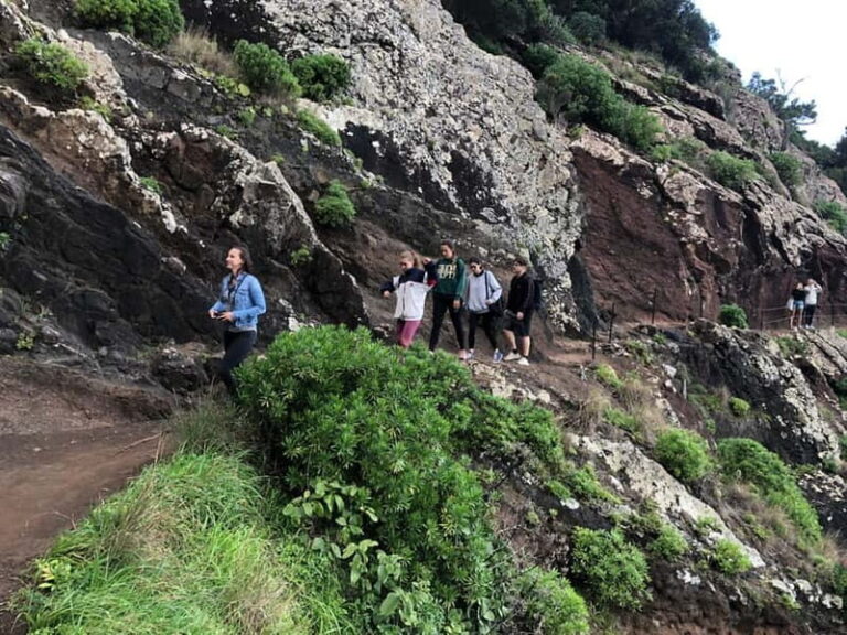 Madeira: Sunrise at Pico do Arieiro & Hike Larano trail - What’s Included & What’s Not