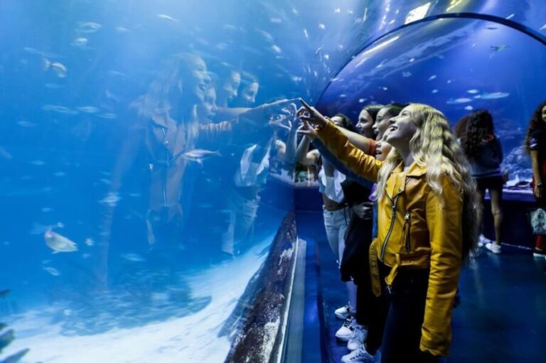 Madrid: Atlantis Aquarium Entry Ticket - Who Should Visit the Atlantis Aquarium Madrid?