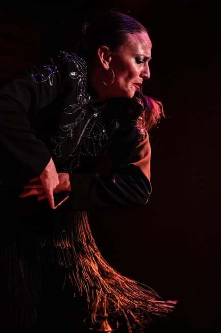 Madrid: Authentic Flamenco at Flamenco de Leones - Who Should Consider This Tour?