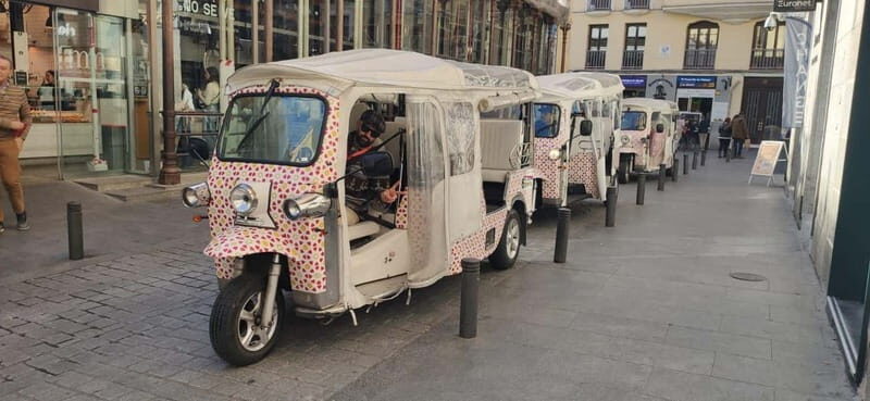 Madrid: City Tours - 6 seats private ecological tuk tuk - Who Is This Tour Best For?