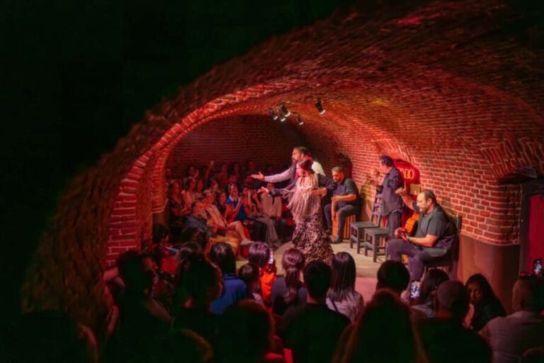 Madrid: Flamenco Show Entry Ticket with Drink & Artist Talk - What to Expect from the Tour