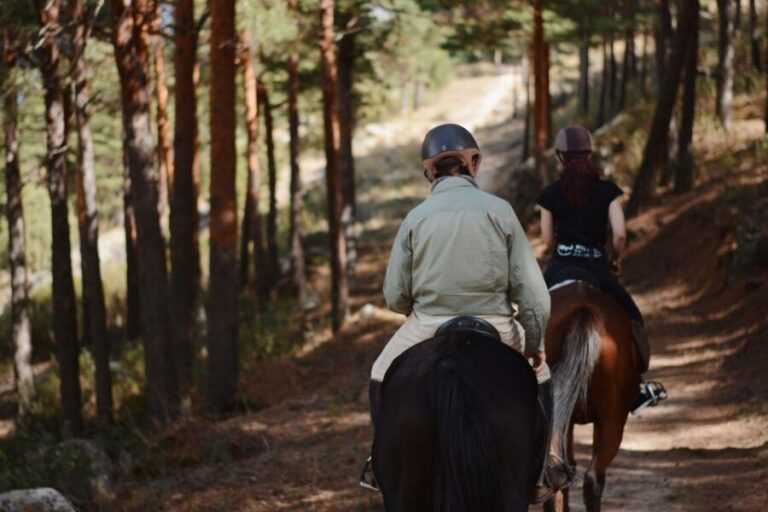 Madrid: Horse Riding in Sierra del Guadarrama National Park - The Verdict: Is This Tour Worth It?