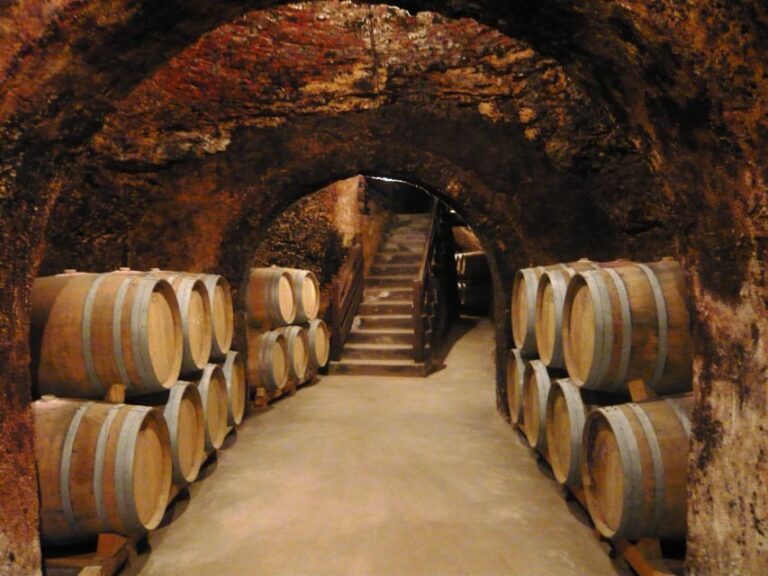 Madrid Region Wineries Guided Tour with Wine Tastings - Visiting Chinchón: Wine, History, and Local Flavors