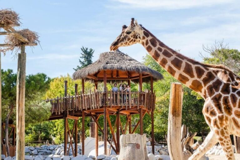 Madrid: Zoo Aquarium Madrid Ticket - Who Will Love This Experience?