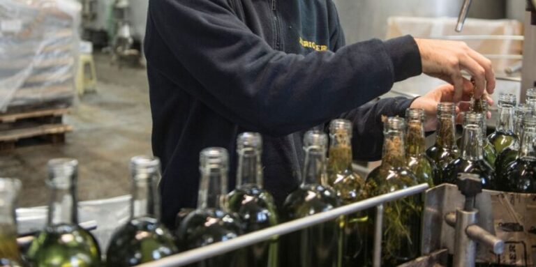 Mahón: Gin Distillery Tour with Tasting & Appetizers - The Sum Up