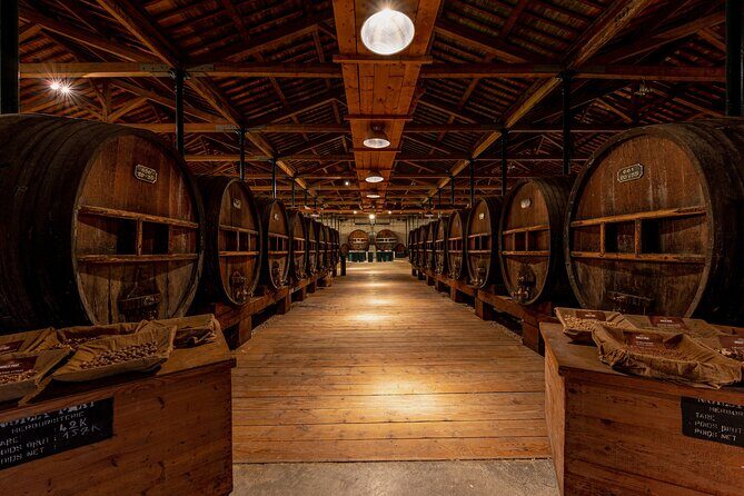 Maison Noilly Prat VIP tour, wine and vermouth tastings - Who Is This Tour Right For?