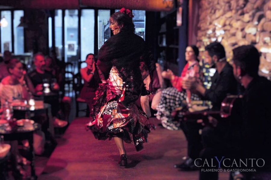 Malaga: Authentic Flamenco Show at El Gallo Ronco - The Experience Itself