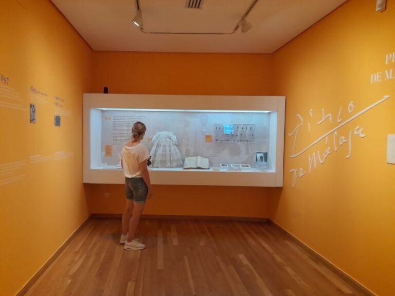 Malaga: Picassos Birthplace Museum Entrance Ticket - Authentic Insights From Visitors