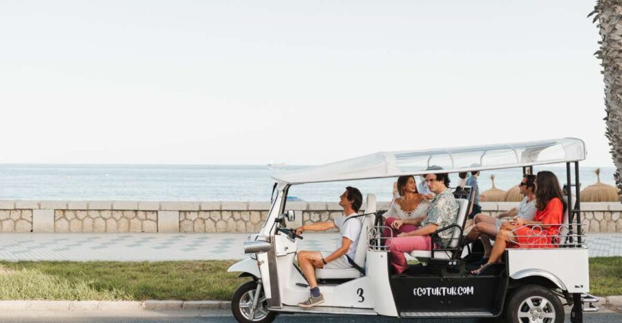 Malaga: Private City Tour by Eco Tuk Tuk - Why You’ll Love This Malaga Tuk Tuk Tour