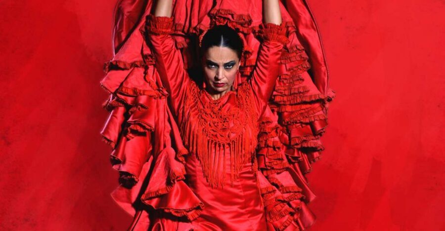 Malaga: Teatro Flamenco Malaga Live Flamenco Show - A Close Look at the Flamenco Experience in Malaga