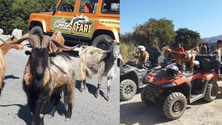 Malia: Off-Road Quad Safari Tour with Lunch and Transfers - An Adventure on Four Wheels: What to Expect