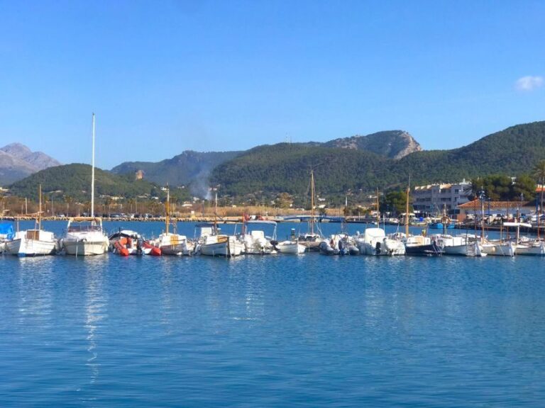Mallorca: Coastal Cruise to Port of Andratx with swim stop - Authentic Feedback from Travelers