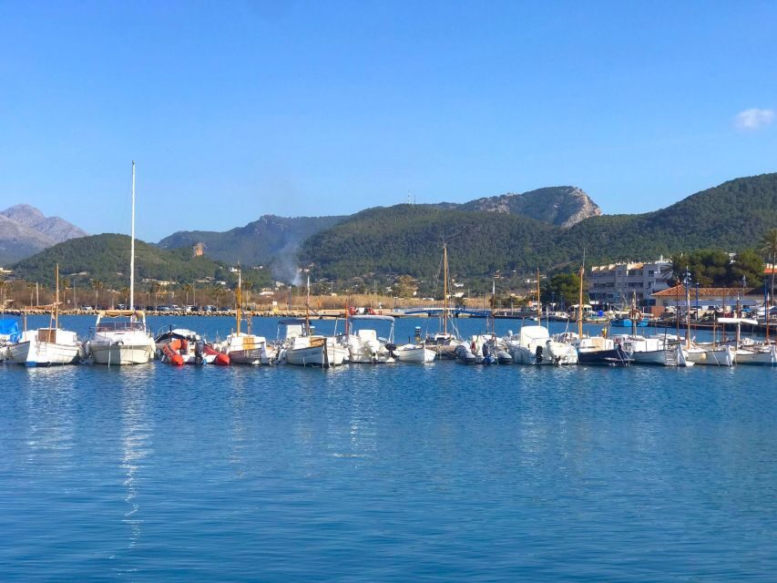Mallorca: Coastal Cruise to Port of Andratx with swim stop - Authentic Feedback from Travelers