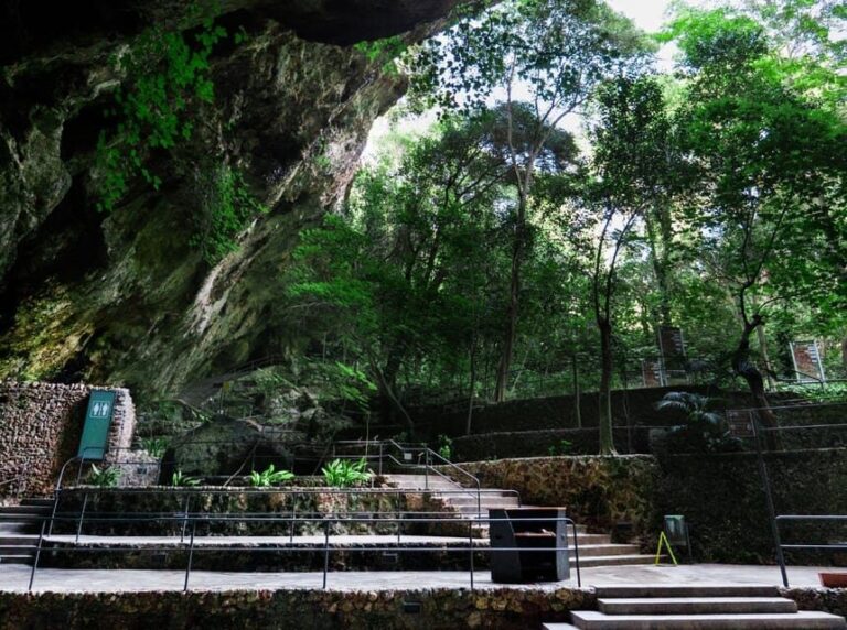 Mallorca: Drach Caves, Lake Martel, & Pearl Factory Day Trip - The Pearl Experience at Majorica Pearls Factory