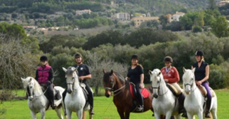 Mallorca: Guided Horseback Ride in Randa Valley - What To Expect: A Step-by-Step Breakdown
