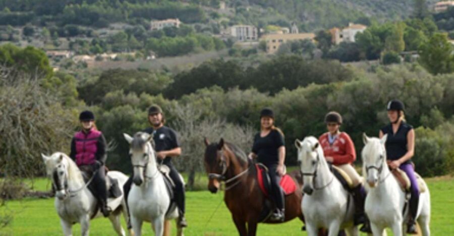 Mallorca: Guided Horseback Ride in Randa Valley - What To Expect: A Step-by-Step Breakdown