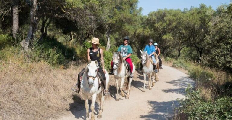 Mallorca: Horseback Riding Excursion and Wine Tasting - Authenticity and Value