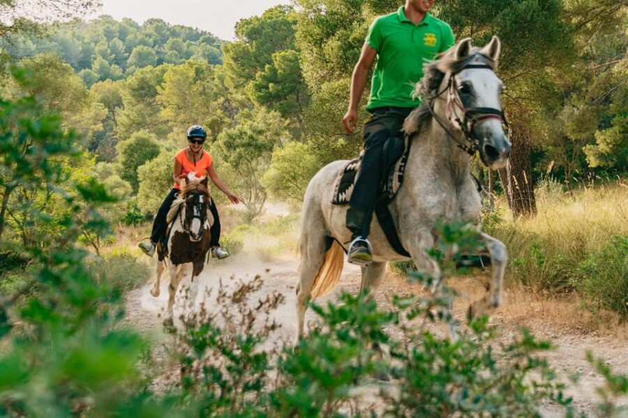 Mallorca: Horseback Riding Experience with Food Options - What Makes This Tour Stand Out